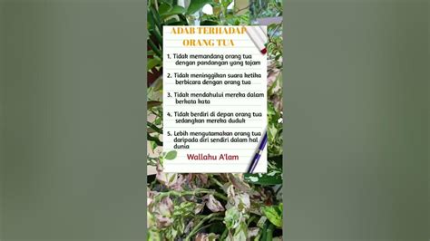Adab Terhadap Orang Tua Katamotivasi Quotes Trendingshorts Subscribers Viralshort Youtube