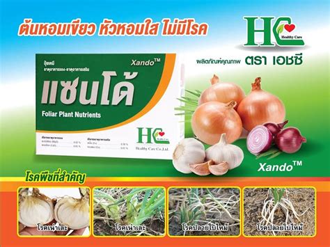 แซนโด้ ป้องกันโรคเน่าเละ บริษัท เฮลตี้ แคร์ จำกัด