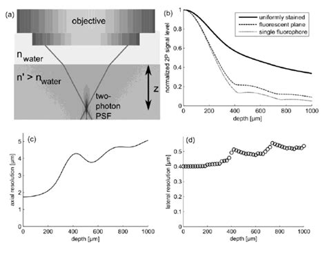Consequences Of Refractive Index Mismatch For 2plsm A Schematic