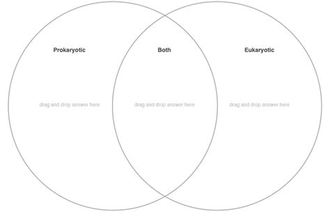 Life Science Test 1 Diagram Quizlet