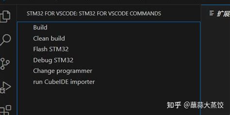 Stm Vscode Stm C