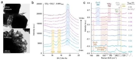 Nat Synthesis 重大突破，电化学形成c S键 知乎