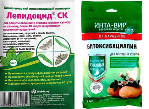 Лучшие биопрепараты для растений в саду и огороде - рейтинг 2024 года