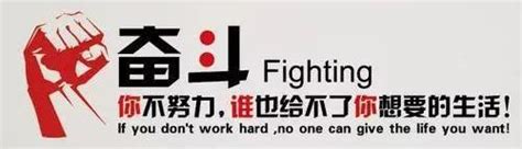 javascript 字面量 知乎