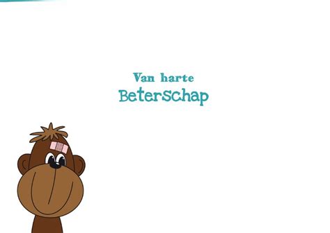 Beterschap Lief Aapje Met Pleister Kaartje2go