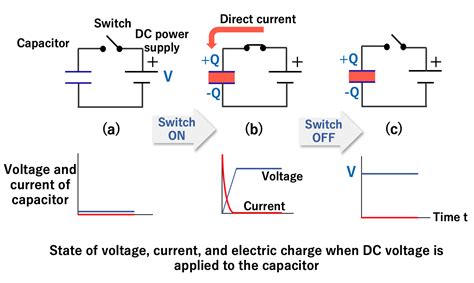Capacitor Basic Circuit At Stanley Davila Blog