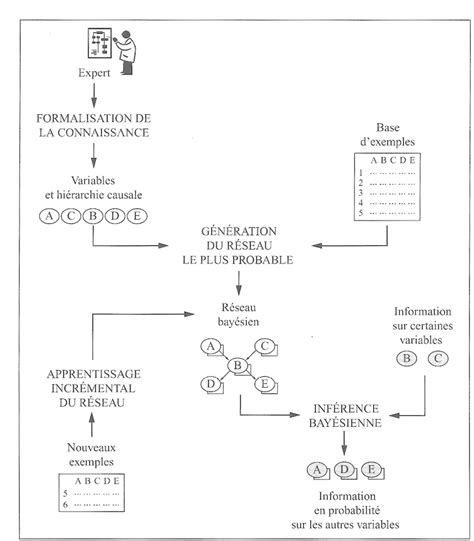 Schéma De Génération Et Exploitation Dun Réseau Bayésien à Partir Download Scientific Diagram