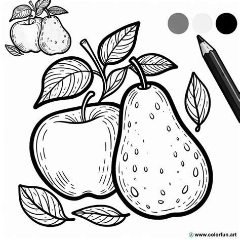 Coloriage d une pomme et d une poire à Télécharger ou à Imprimer