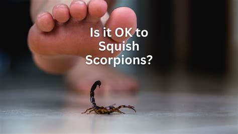 What Can Scorpion Stings Cause 7 Scorpion Bite After Effects The