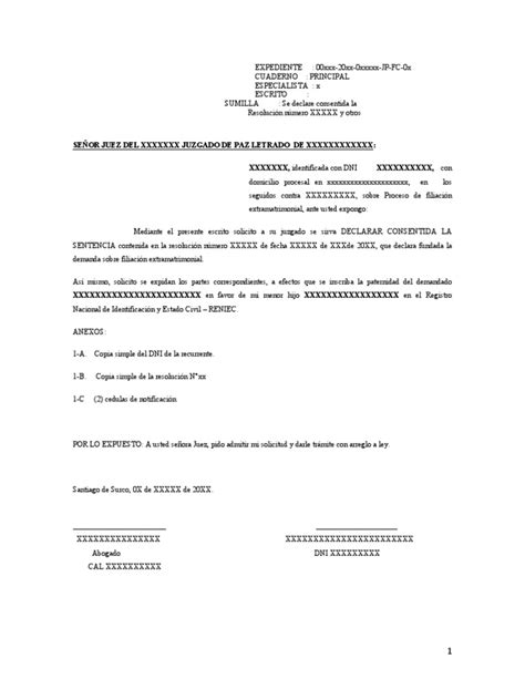 Modelo De Escrito Se Declare Consentida Pdf