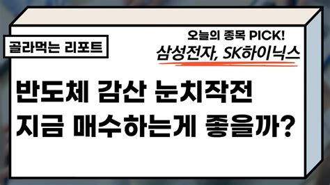 [골라먹는 리포트] 반도체 감산 눈치작전 지금 매수하는게 좋을까 삼성전자 Sk하이닉스 감산 반도체감산 D램 아스플로 배터리 2차전지 반도체 김장열 골라먹는리포트 매일