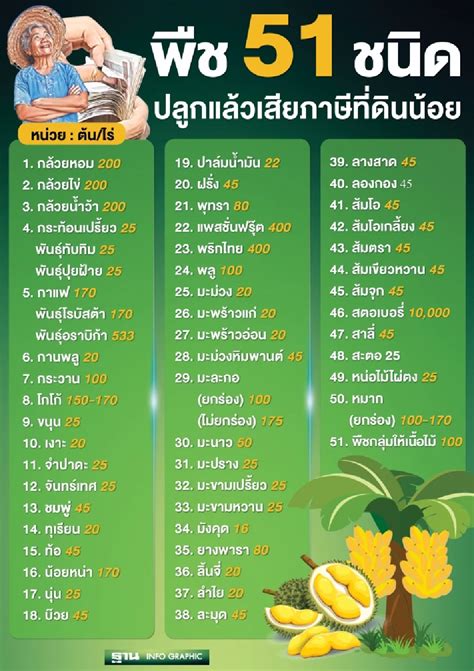 ที่ดิน 1ไร่ ปลูกกล้วยกี่ต้น ต้นไม้อะไรบ้าง เสียภาษีที่ดินน้อย
