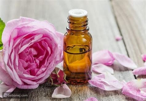 بتلات ورد 🌸 دهن