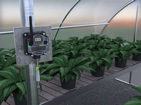 Greenhouse Humidity And Temperature Control At George Sorensen Blog