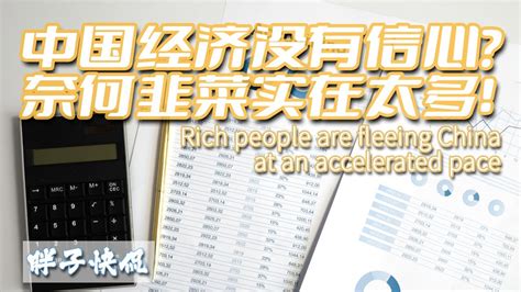 匯金公司注資中國四大行劉强東否認被抓花旗個人銀行撤離中國中國經濟與私營企業的信心從未如此低迷資本外流加速 Youtube