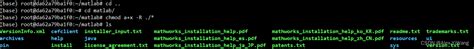 MATLAB 12手把手教你在Linux以命令行方式静默方式 非图形化方式安装MATLAB正版 linux matlab CSDN博客