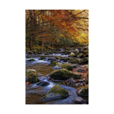 Trademark Fine Art Framed 19 In H X 12 In W Landscape Print On Canvas