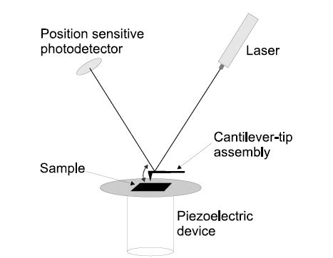 Atomic Force Microscope Download Scientific Diagram