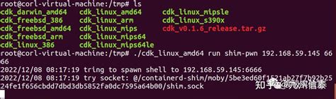 宸极实验室—『杂项』docker 逃逸方法汇总 知乎