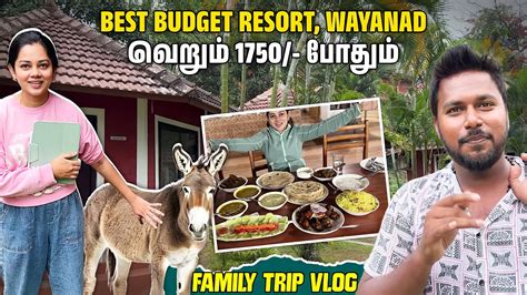 Budget ல Sunbird Garden Resort🤩 Wayanad⛰️ Anithasampath Vlogs Youtube