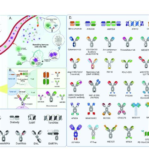 Bispecific Antibody Approved By The Fda Download Scientific Diagram