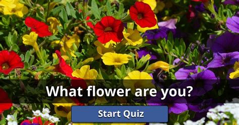 What Flower Are You Lusorlab Quizzes