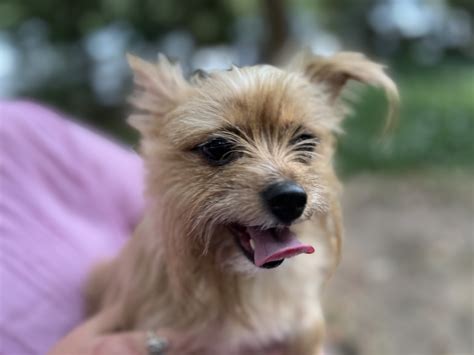 Devon Walsh Wkrg News 5