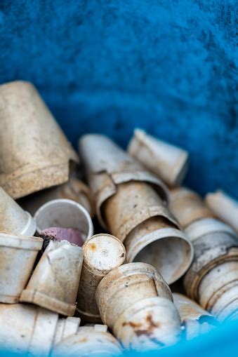 Cangkir Styrofoam Nonbiodegradable Di Tempat Sampah Foto Stok Unduh