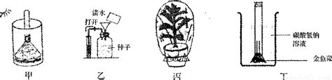 在当今沙尘暴的灾难中 人类应得到的教训是 A草原上的野生动物捕杀太少 破坏了大量的森林和草原植物B人为掠夺自然资源 破坏了生态系统C