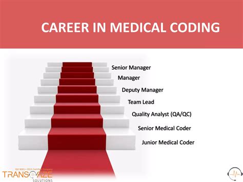 How To Become Medical Coder Pdf