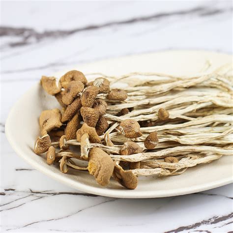 拾誉茶树菇干货新鲜不开伞剪脚古田茶薪菇农家无熏硫菌菇特产250g 虎窝淘