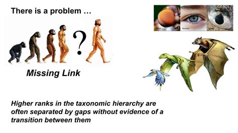 Darwins Microevolution And Macroevolution No Videos Chaidir Adam