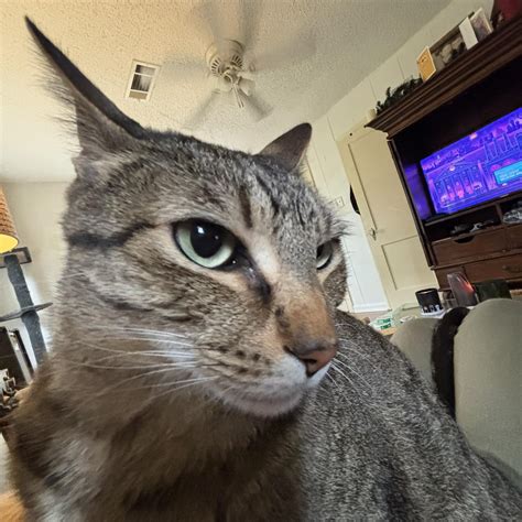 Britpop Sex Pistols Glen Matlock Slams Punks Who Support Trump