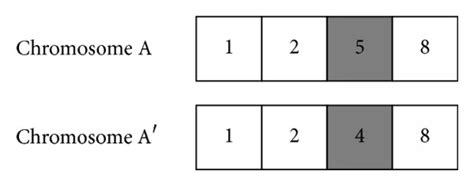 Mutation Operator Of Genetic Algorithm Download Scientific Diagram