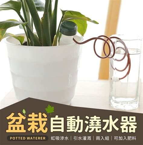 Airy 盆栽自動澆水器 Pchome 24h購物