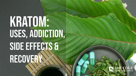 Kratom Uses Addiction Side Effects And Recovery