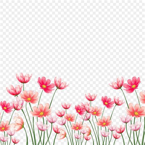 수채화 빨간색 Gesang 꽃 일러스트 테두리 크리에이티브 수채화 광화 꽃들 Png 일러스트 및 Psd 이미지 무료 다운로드 Pngtree 2025 꽃