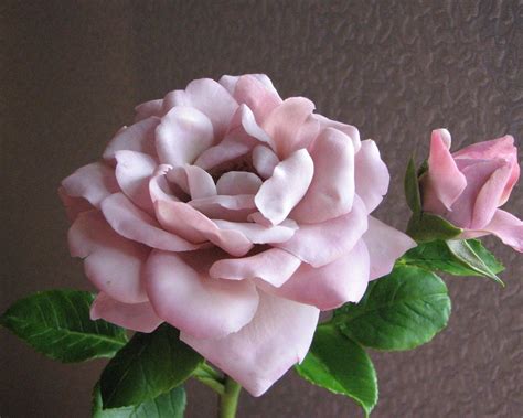 Сиреневая роза .Ручная работа. | Flowers, Crafts, Rose