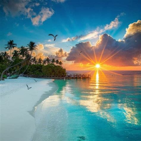 Stream Sonic Session Vol 902 By Sonicrush Listen Online For Free On
