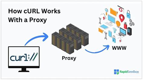 Curl Proxy A Beginners Guide — Rapidseedbox