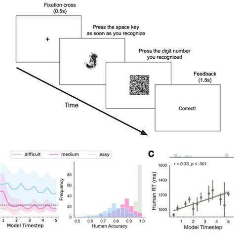 Human Recognition Experiment And Results A Overview Of The Behavioral