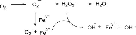 Reactive Oxygen Species Generation Download Scientific Diagram
