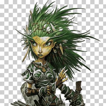 Druid Pathfinder