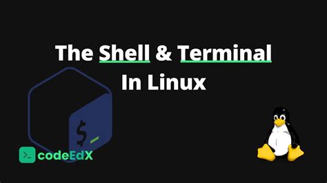 The Shell Terminal In Linux Types Of Shells Switch Between Shells