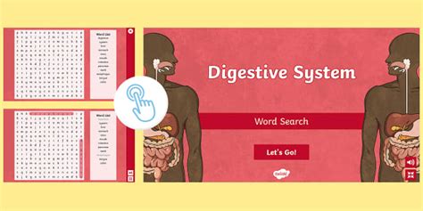Interactive Digestive System Word Search Twinkl Go