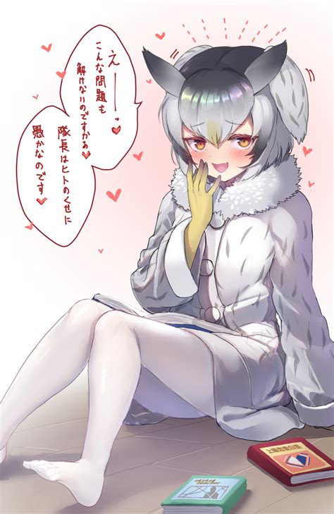 Northern White Faced Owl Kemono Friends Drawn By Tadano Magu Danbooru
