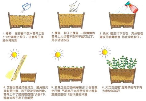 陽台種黃瓜長得慢不結果？巧用這個方法，一顆黃瓜苗結出一個瓜只用3天 每日頭條