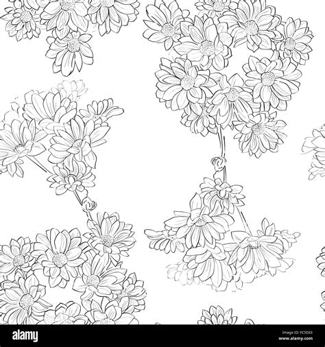Modèle croquis fleurs Photo Stock Alamy