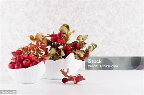 말린 열매 잎 장미 엉덩이 부드러운 밝은 흰색 나무 테이블에 그릇에 잘 익은 빨간 산사 나무와 인테리어를위한 가을 가정 장식 0명에 대한 스톡 사진 및 기타 이미지 Istock