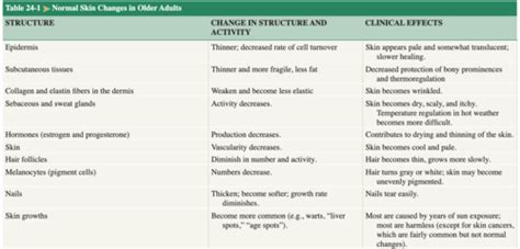 Mod 14 Older Adults Flashcards Quizlet